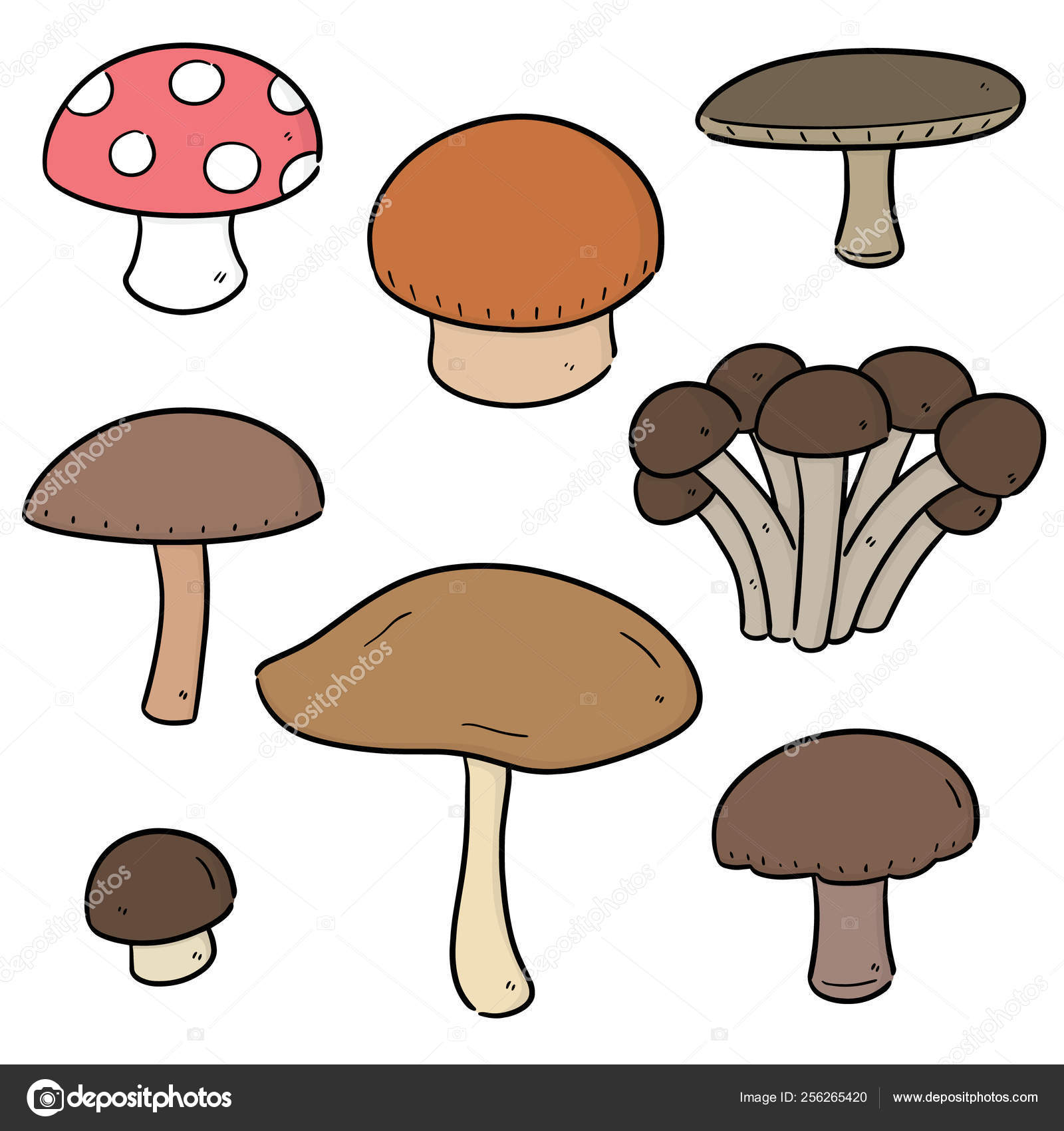 Vector conjunto de setas Vector de stock #256265420 de ...