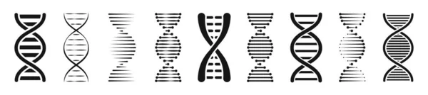 50,614,391 vectores de Genotipo, imágenes vectoriales | Depositphotos