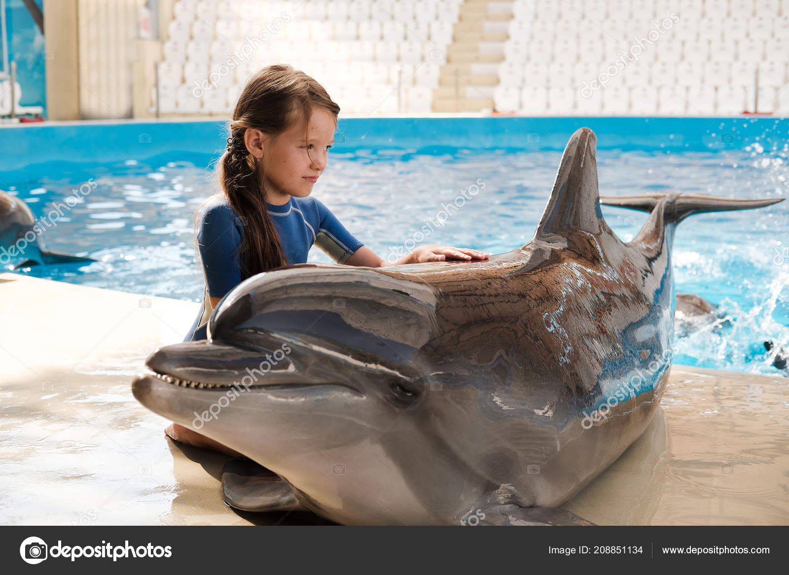 Kid Touching Hugging Bottlenose Dolphin Little Girl Embracing Caressing ...