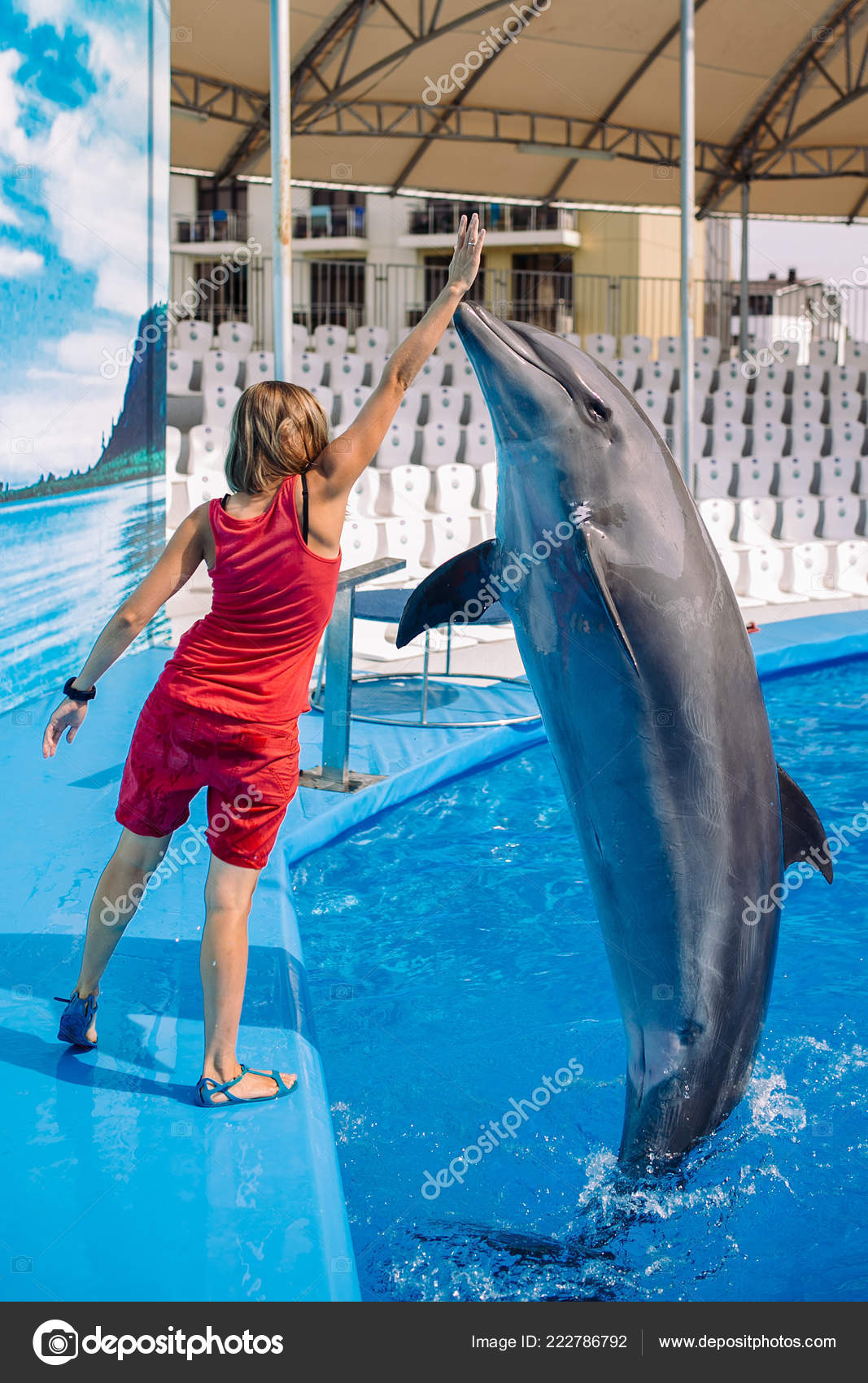 Dolphin Tricks Wallpaper