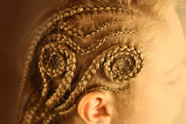 Zierhaar Stock Photos, Royalty Free Zierhaar Images | Depositphotos