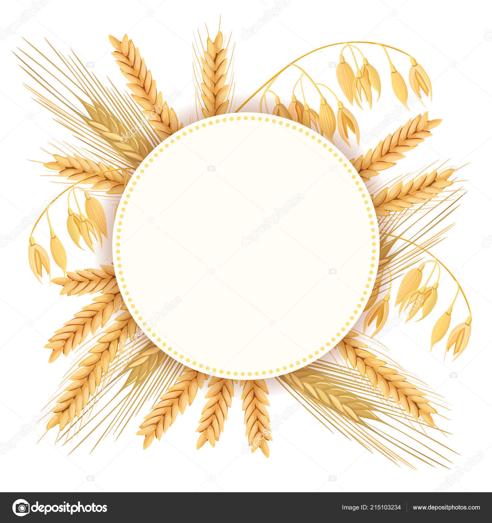 Wheat Barley Oat Rye Icon Vector Set Four Cereals Grains Stock Vector ...