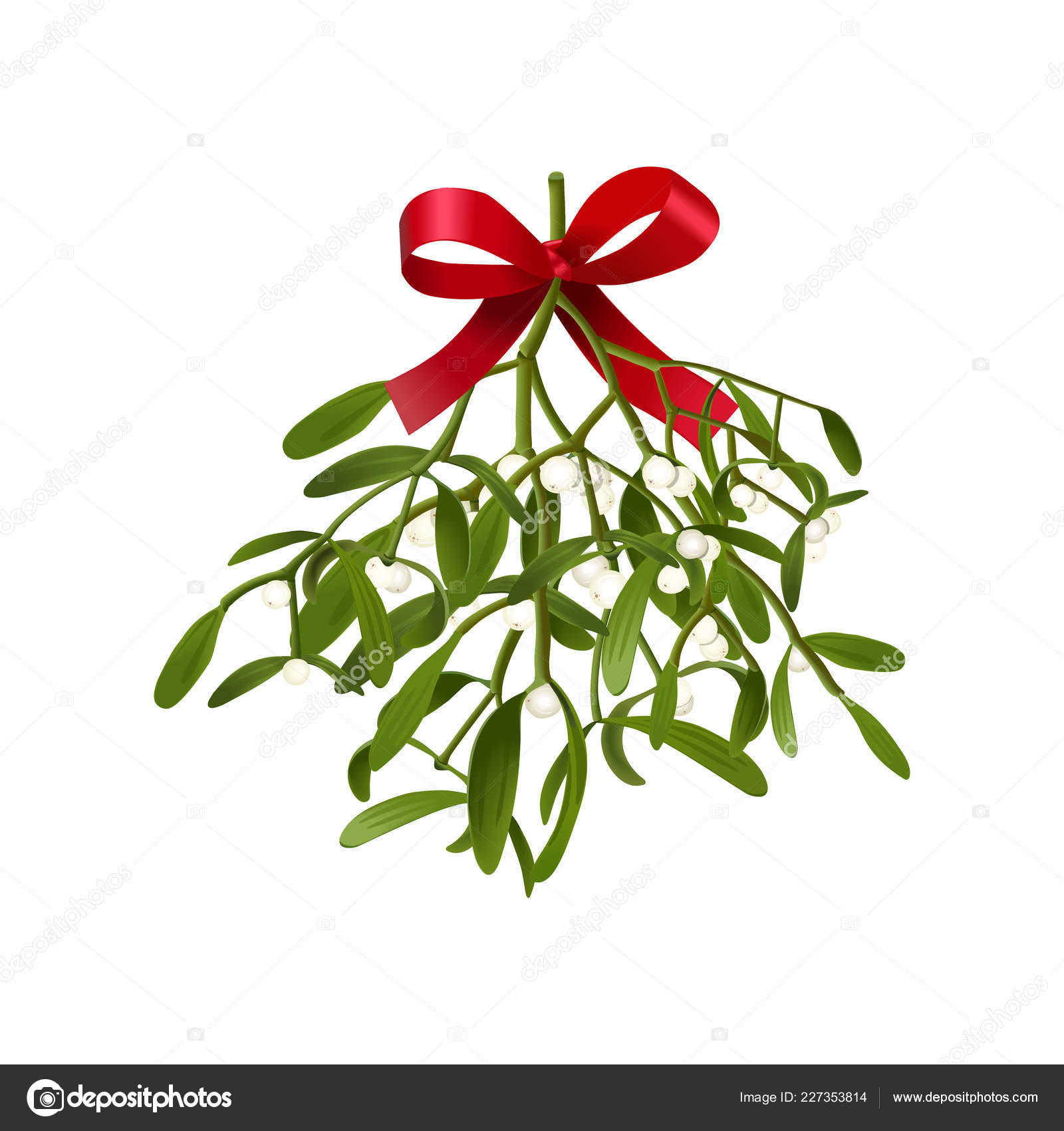 Hengende Misteltein Png