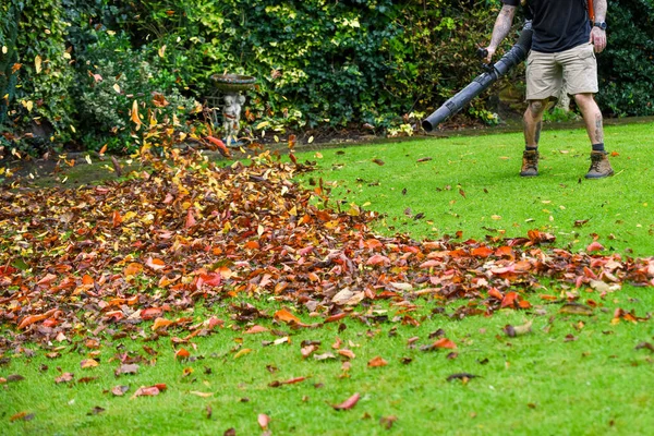 Cordless leaf blower Stock Photos, Royalty Free Cordless leaf blower ...