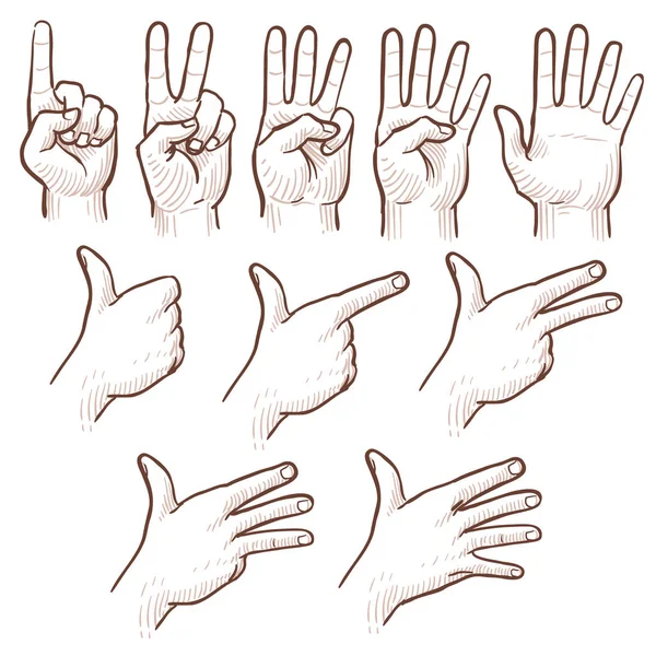 Counting hand. Countdown gestures, language number flat signs isolated — Stock Vector © MicroOne ...