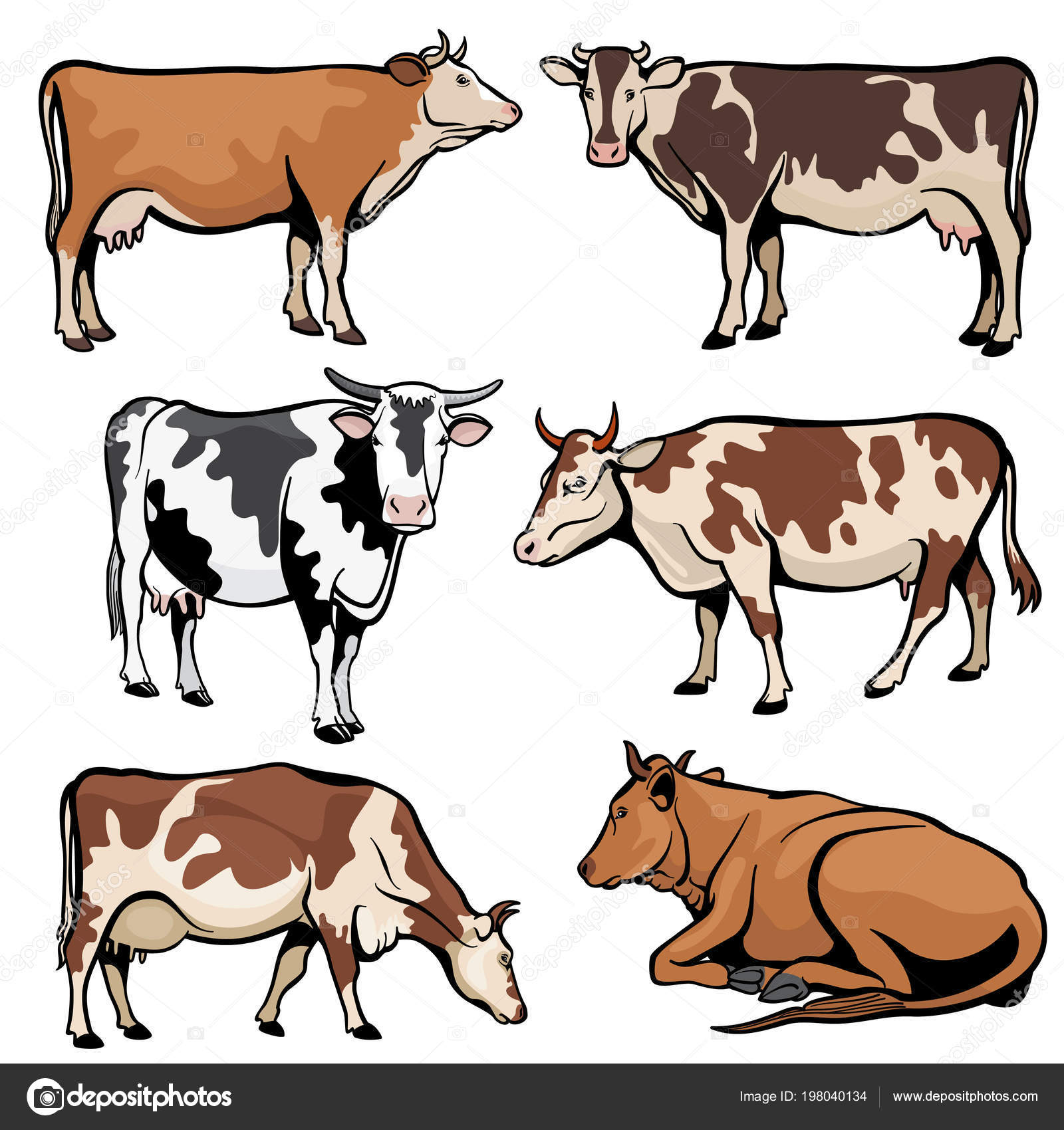 Vaca Dibujo Para Colorear