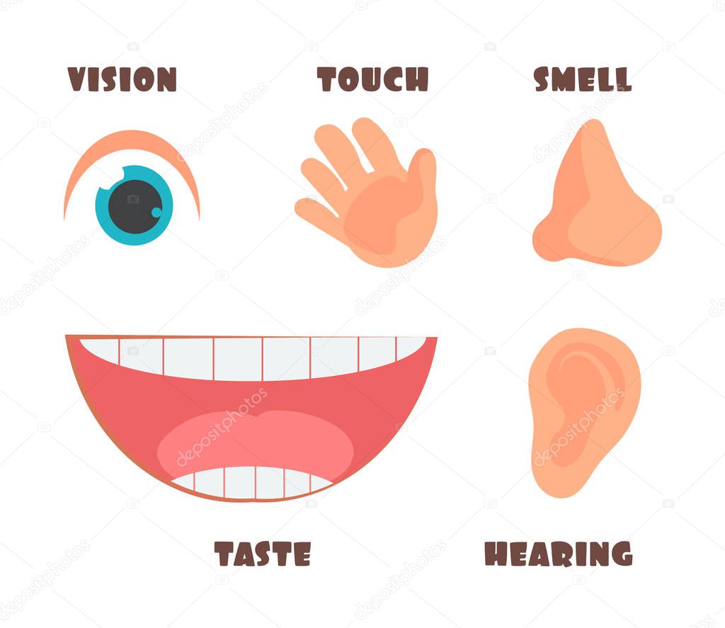 Sentidos humanos iconos vectoriales de dibujos animados con símbolos de ...