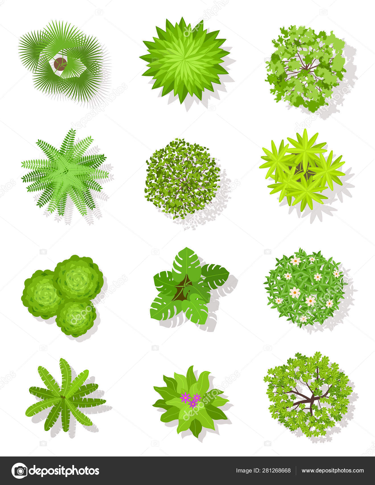 Top view tree. Green trees with leaves and bushes for landscape ...