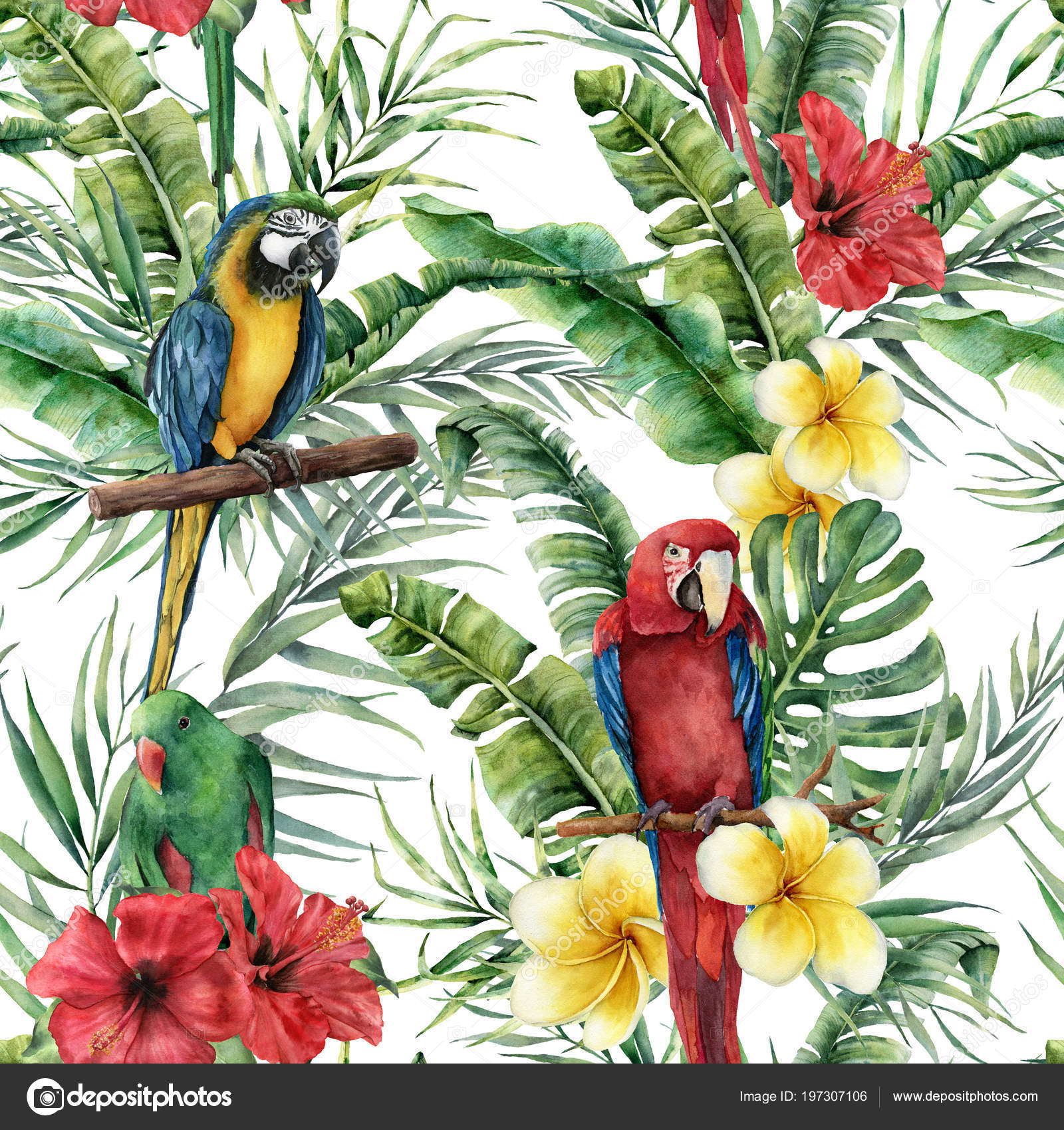 Tropical Parrot Pattern