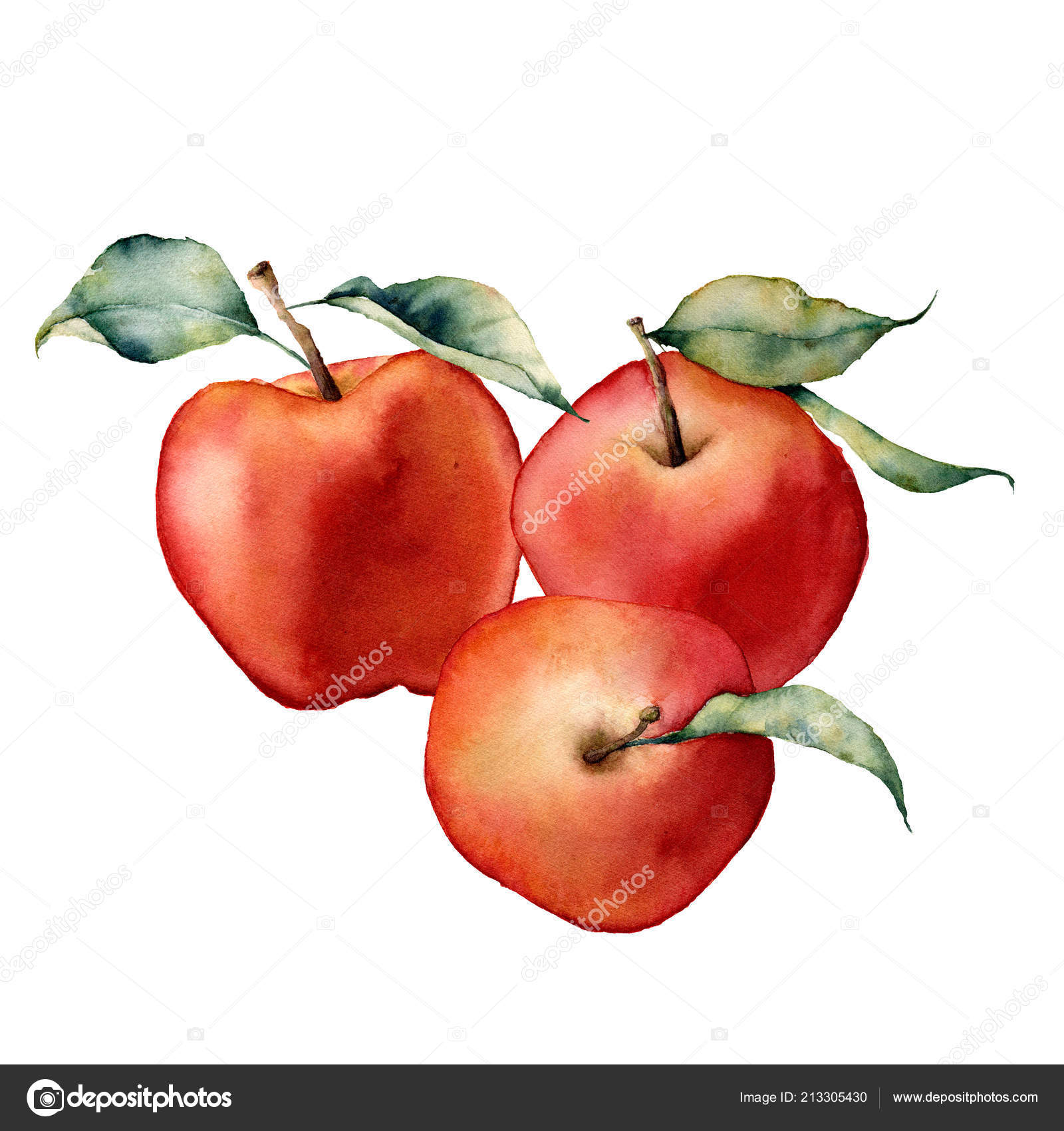 Watercolor print with apples. Hand painted tree apples with leaves ...