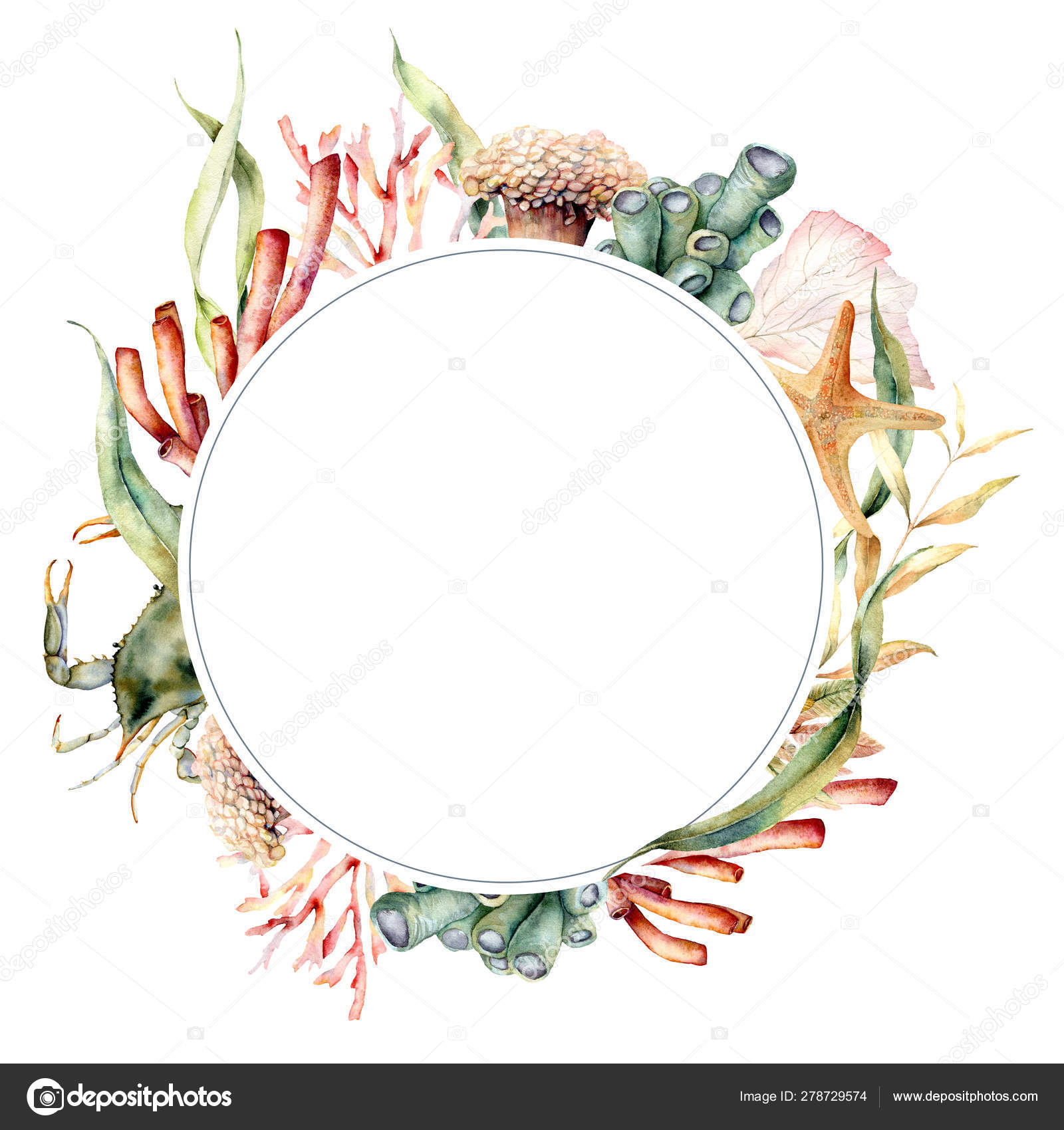 Coral Border Template