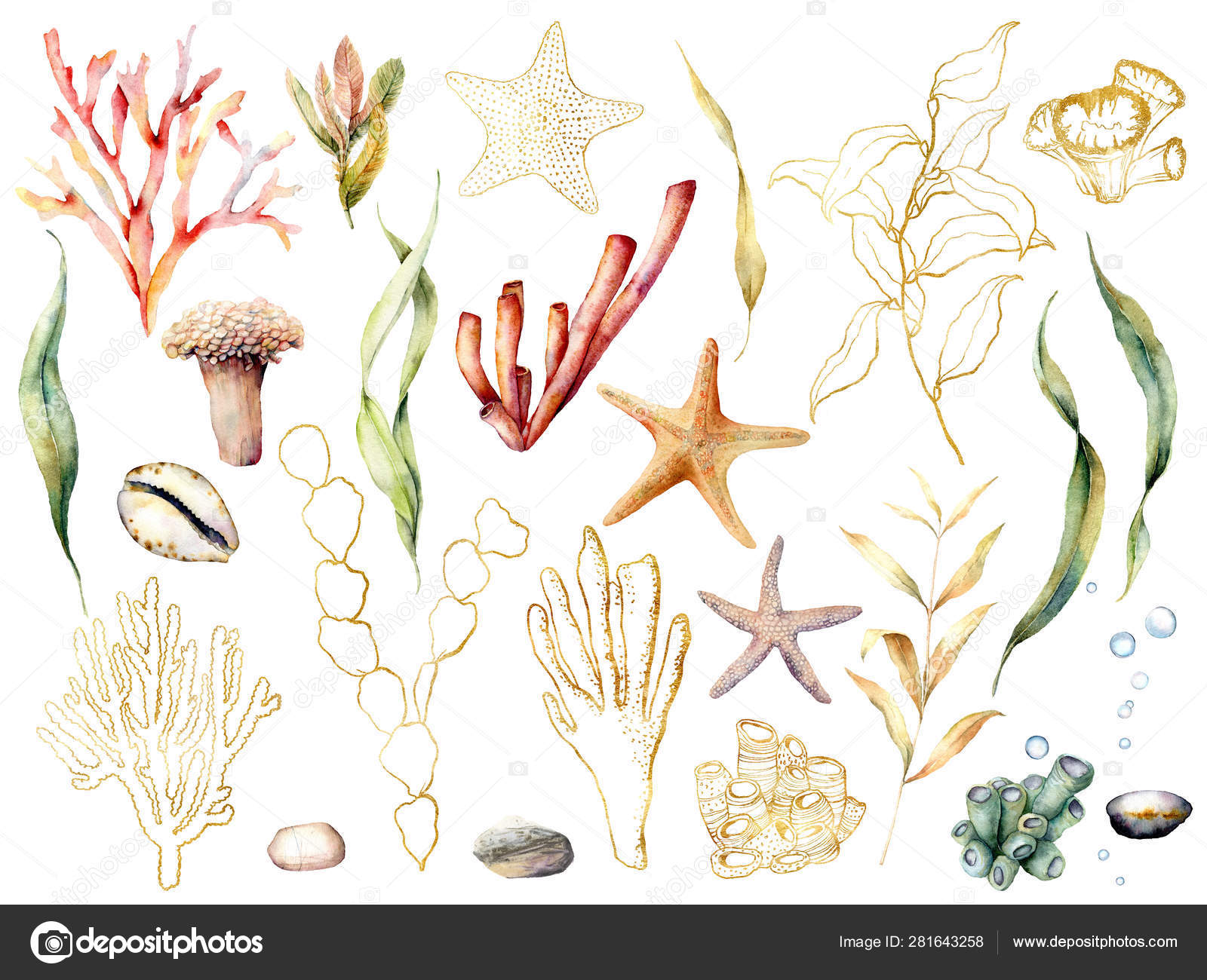 Watercolor floral underwater set. Hand painted coral reef plants with ...