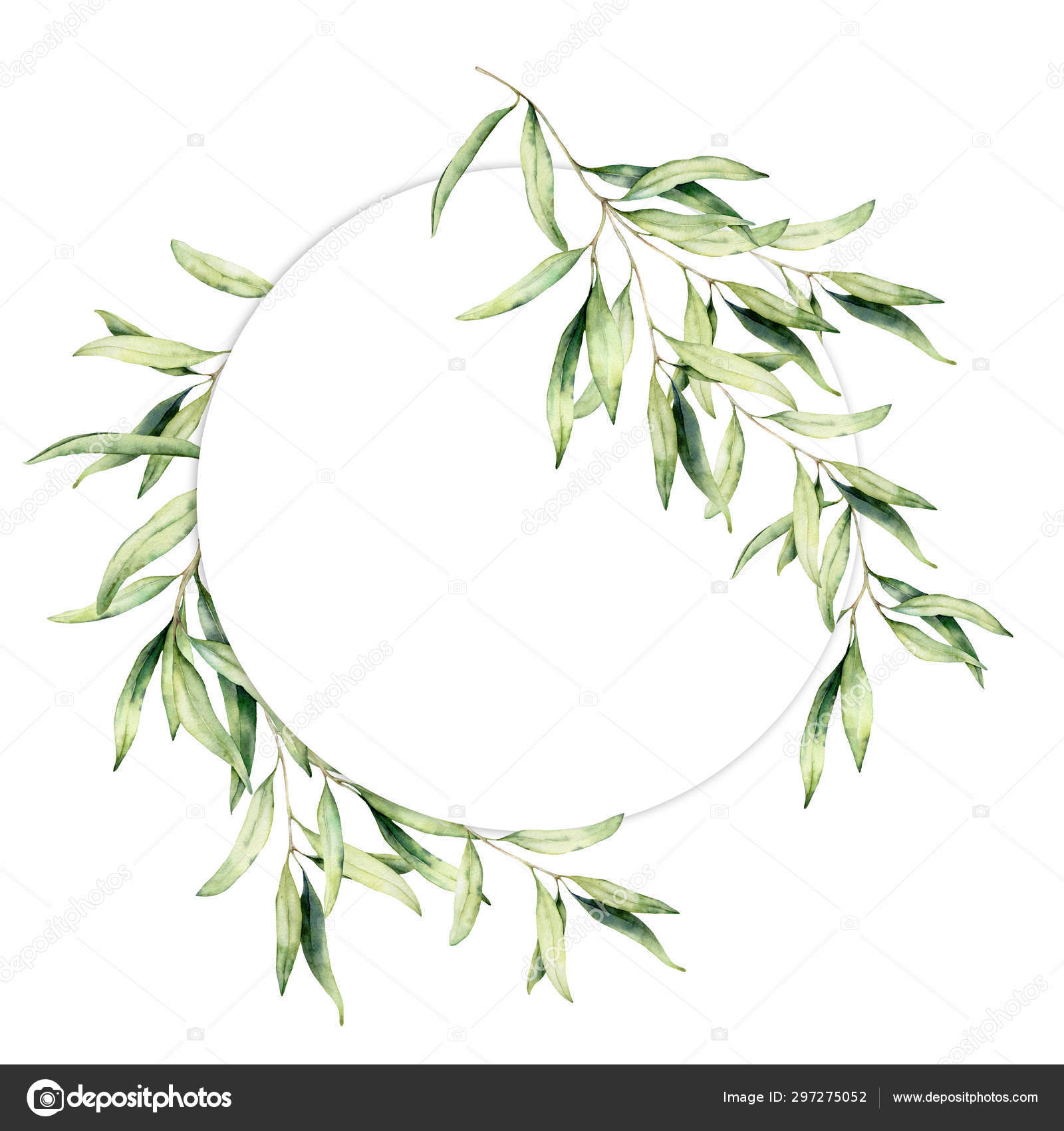 Olive Leaf Branch