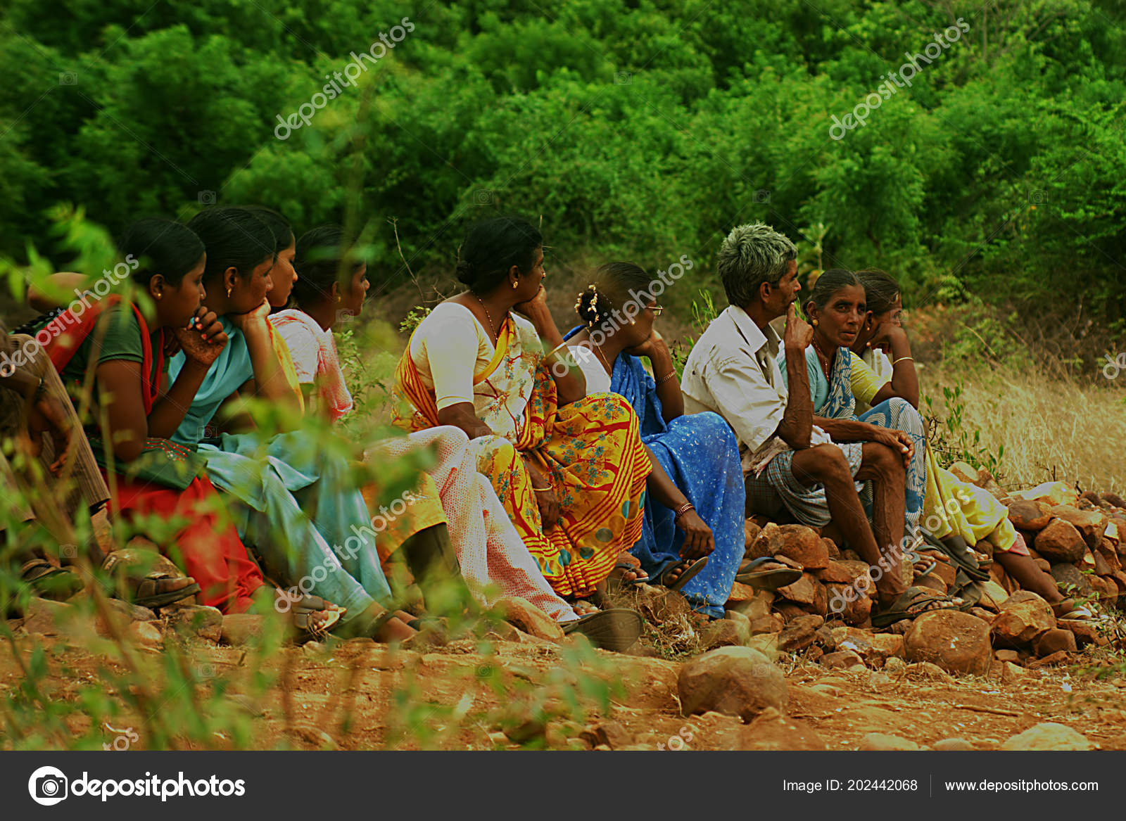 Indian Farmer People Sitting Paddy Field Nature Background – Stock ...