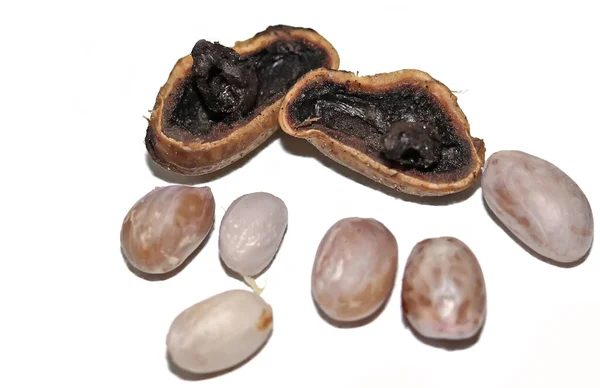 Palm kernel seed Stock Photos, Royalty Free Palm kernel seed Images ...