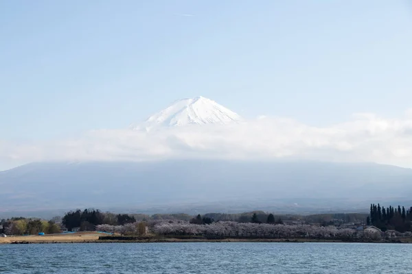 Mountain Fuji with snow cap as background and lake kawaguchiko as ...
