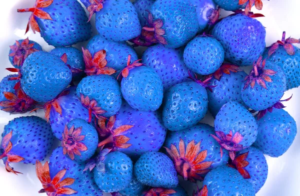 Blue Strawberries Blue Strawberries Stock Photos, Royalty Free Blue