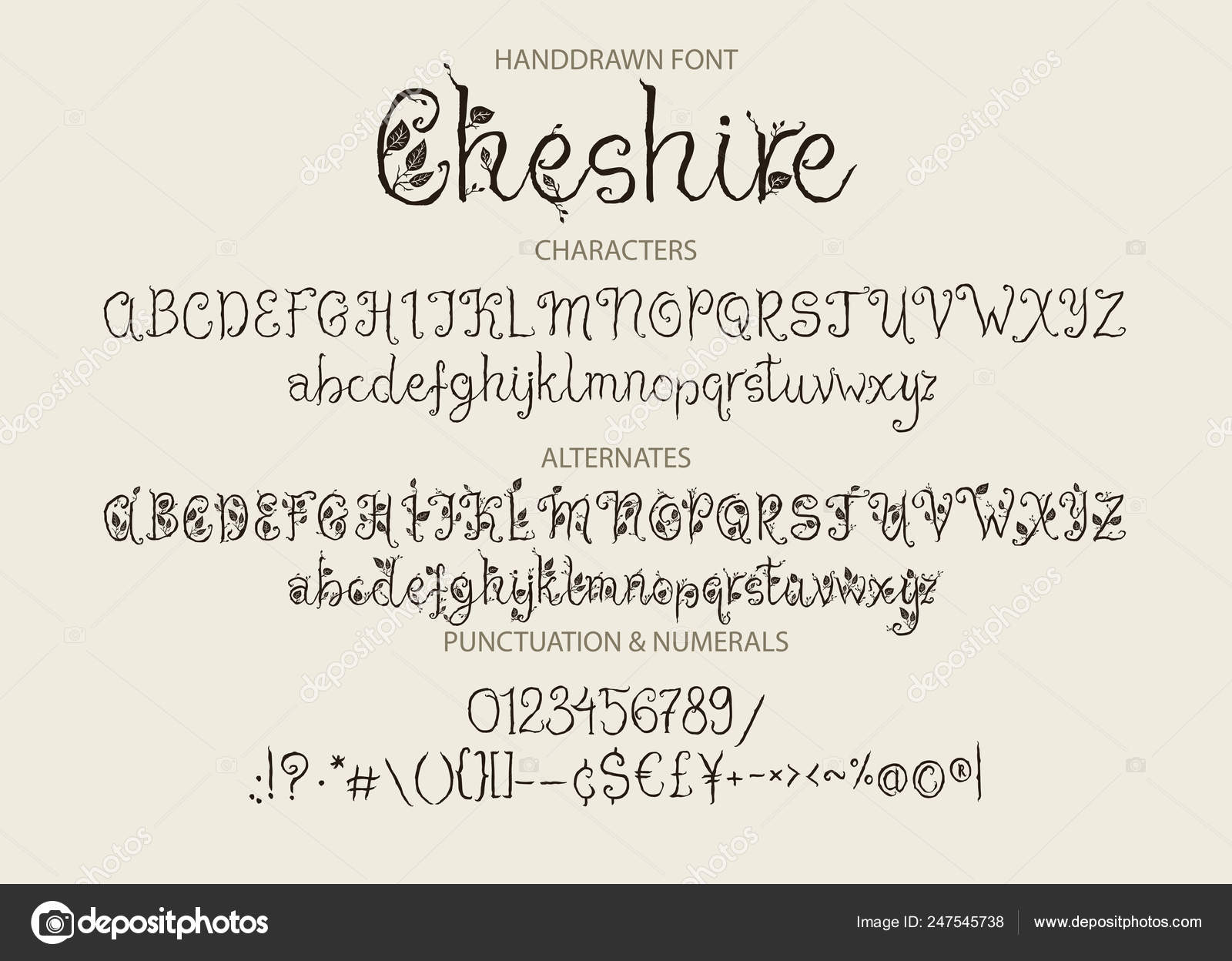 Alphabet calligraphy signs Stock Vector Image by ©trihubova.gmail.com ...