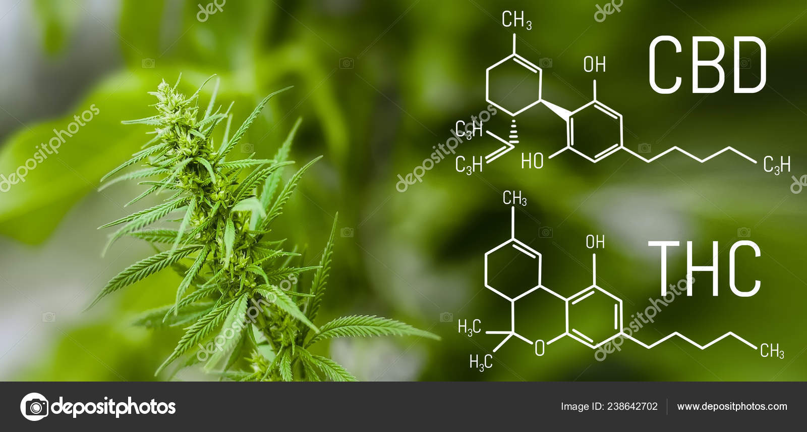 Thc Molecule Wallpaper