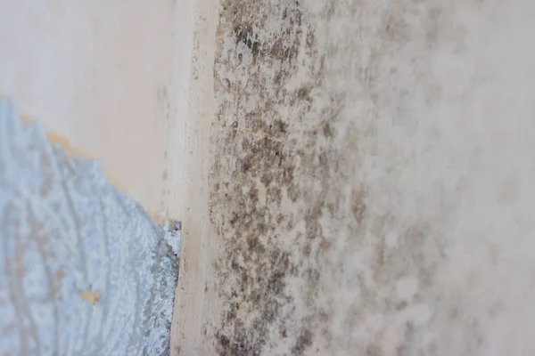 Rising damp treatment Stock Photos, Royalty Free Rising damp treatment ...