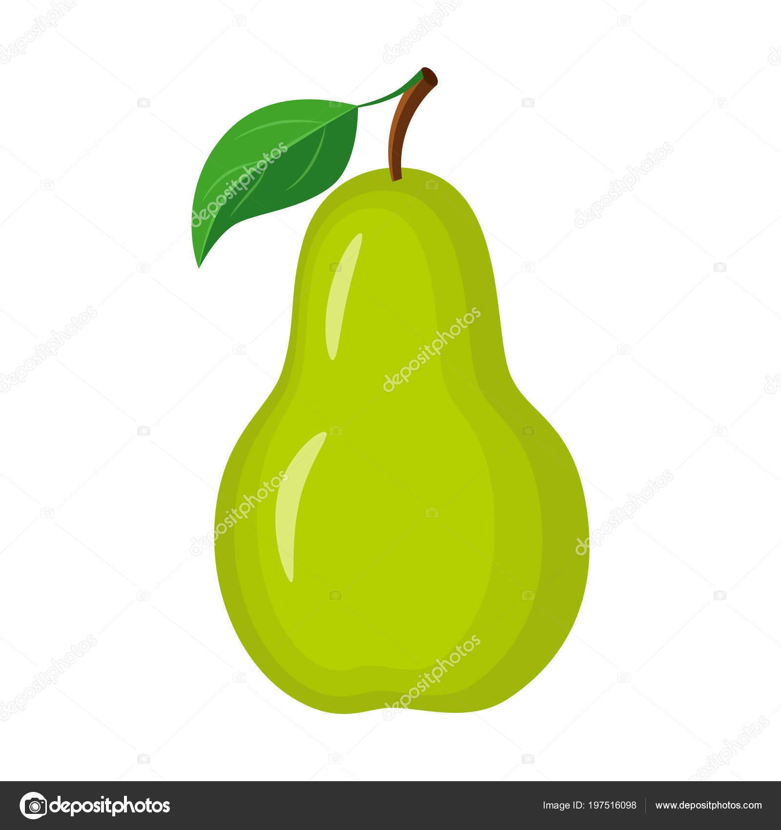 Pêra verde inteira colorida. Ilustração vetorial isolada sobre branco ...