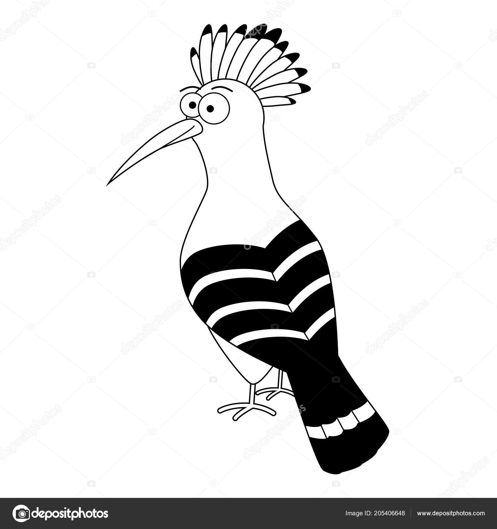 Disegno Per Bambini Upupa - Disegni HD