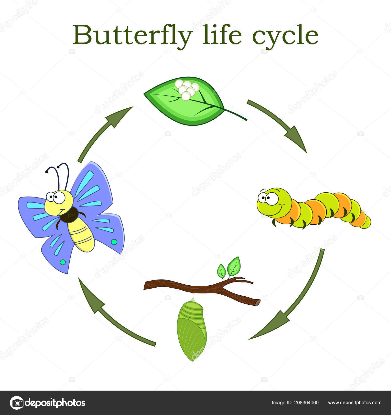 Ciclo de vida de la mariposa en un estilo de dibujos animados ...