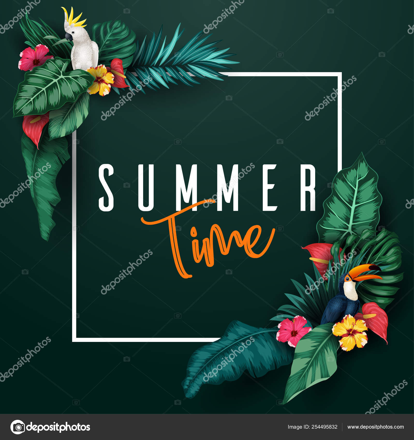 Tropical Forest Square Frame Black Background — Stock Vector ...