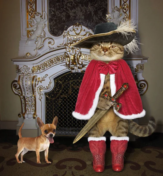 ᐈ Three musketeers stock pictures, Royalty Free 3 musketeers images ...