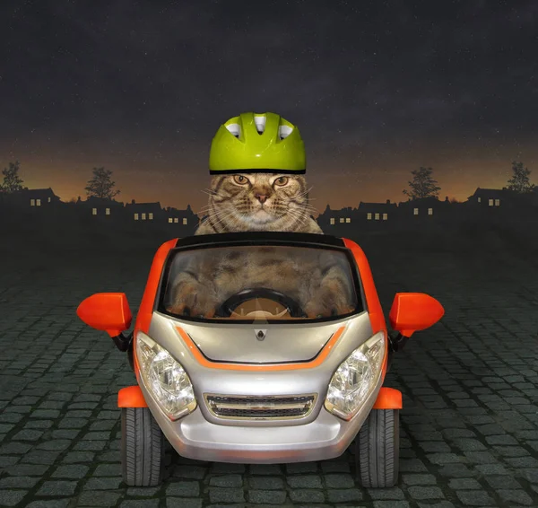 Cat driving Images - Search Images on Everypixel