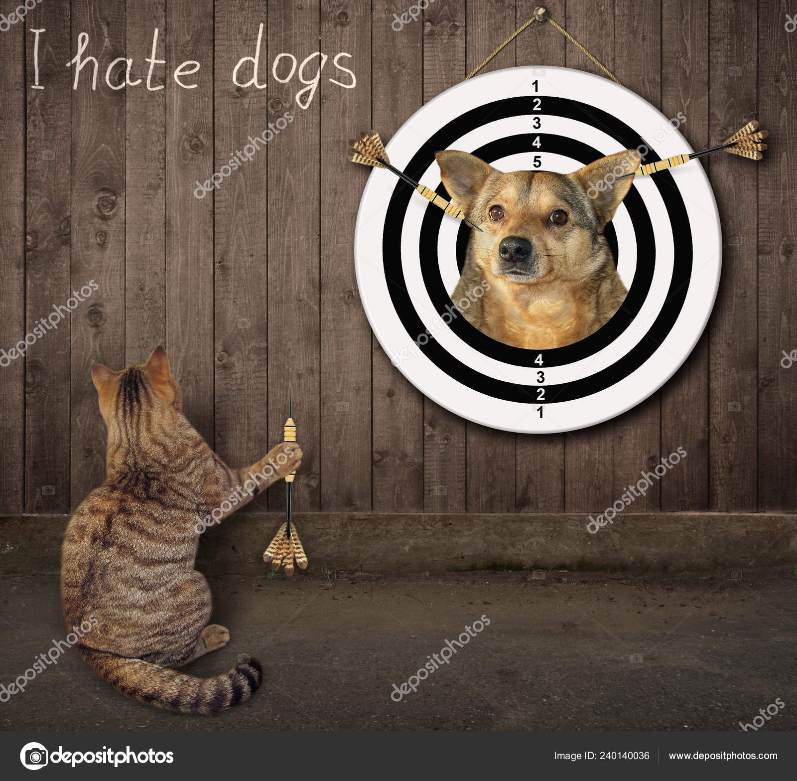 Cute Cat Makes Dart Throw Target Outdoor Hate Dogs — Stock Photo ...