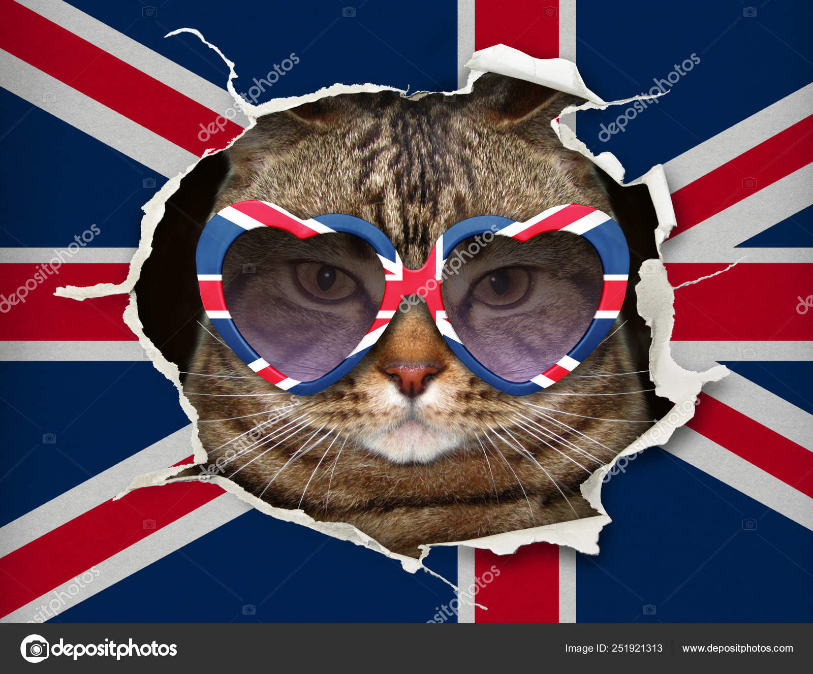 Cat behind the uk flag Stock Photo by ©Iridi 251921313