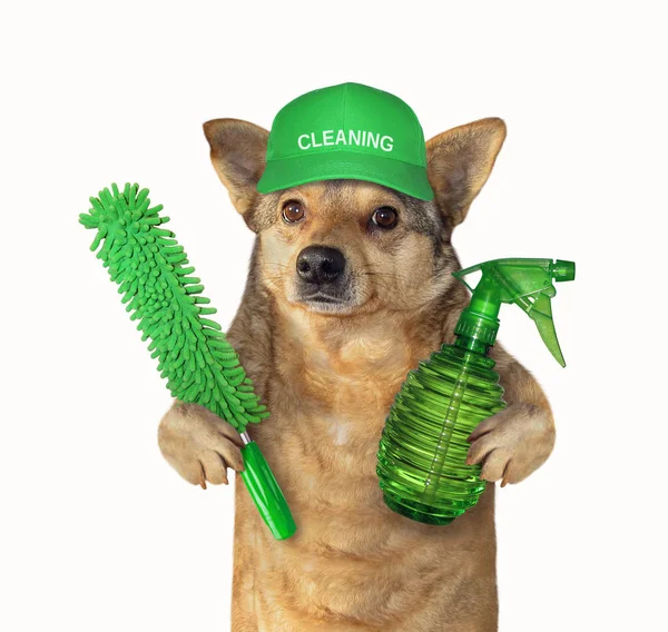 Funny cleaning Stock Photos, Royalty Free Funny cleaning Images ...