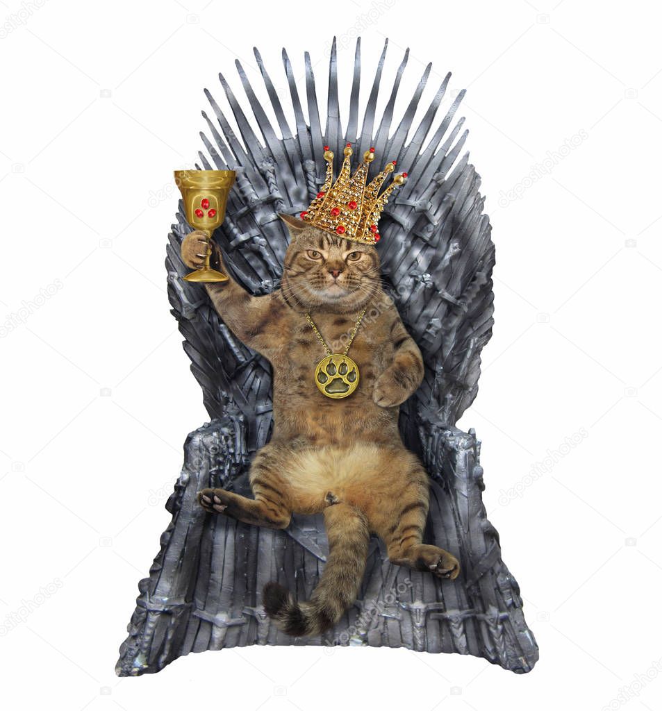 Rey gato con una copa en un trono de hierro 2023