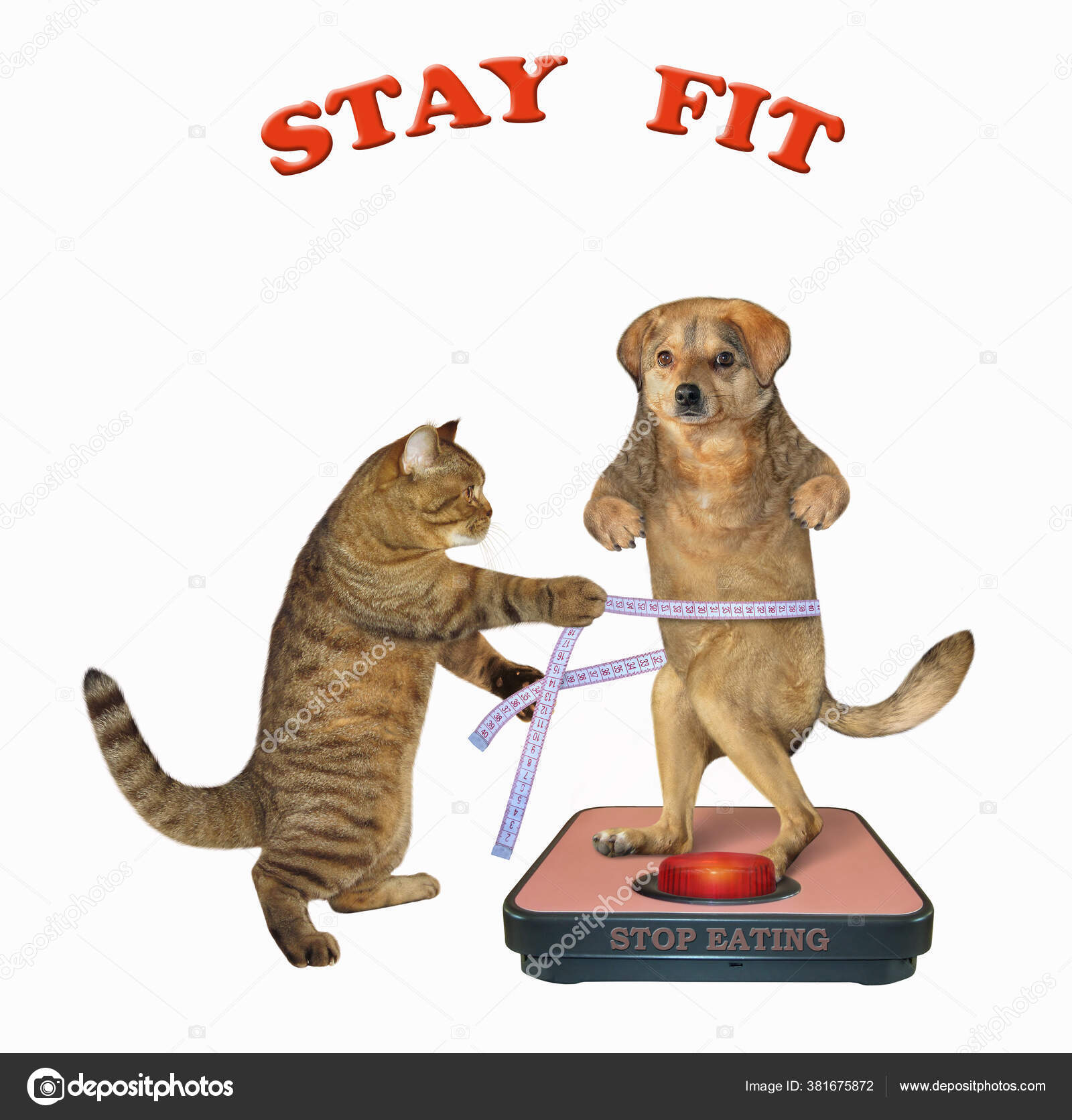 Beige Dog Standing Weigh Scale Cat Measuring Dog's Waist Measure Stock ...