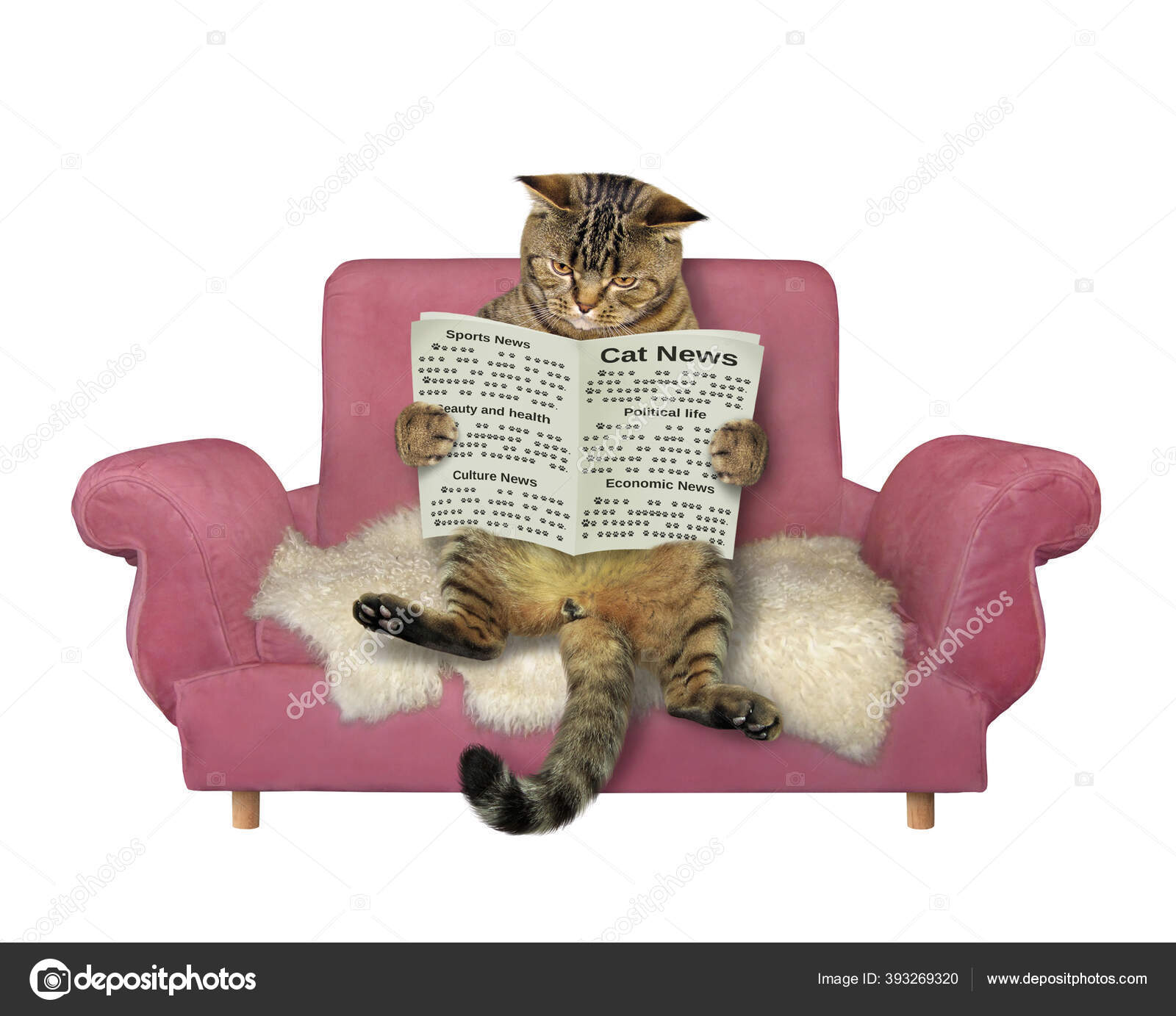 Cat Reading Newspaper