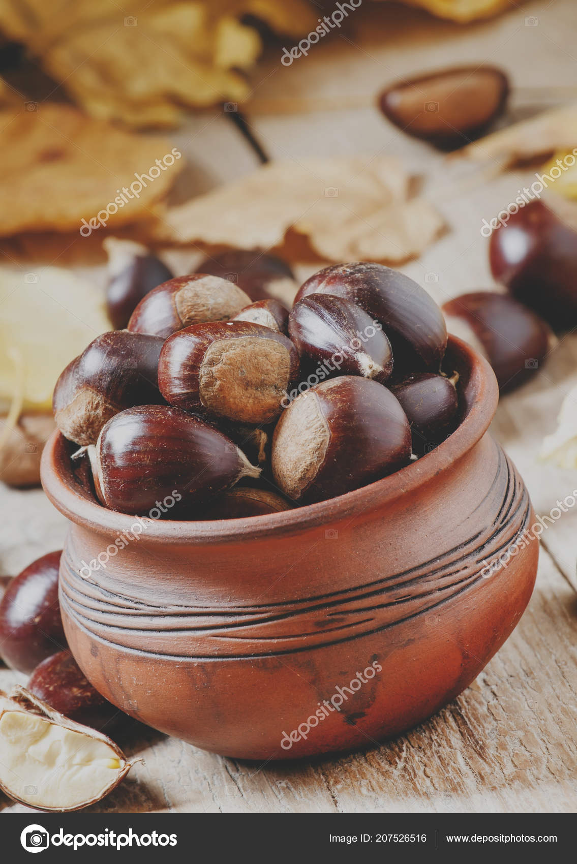 Edible Chestnut Harvest Clay Pot Autumn Fallen Leaves Background Stock ...