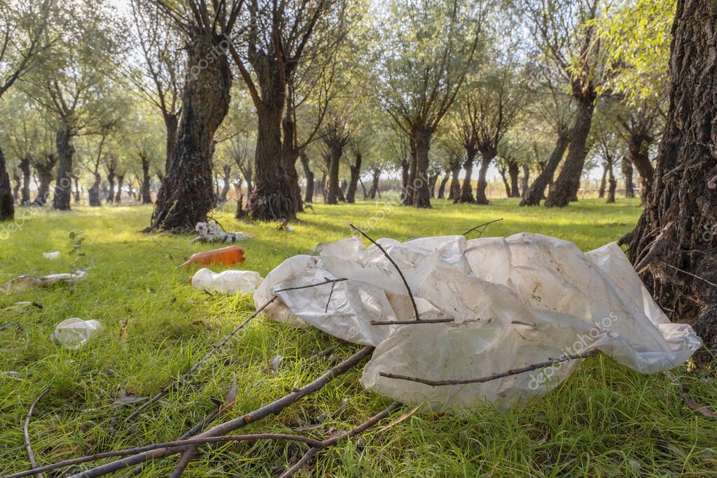 El plástico y otra basura tirada por los turistas contamina los parques ...