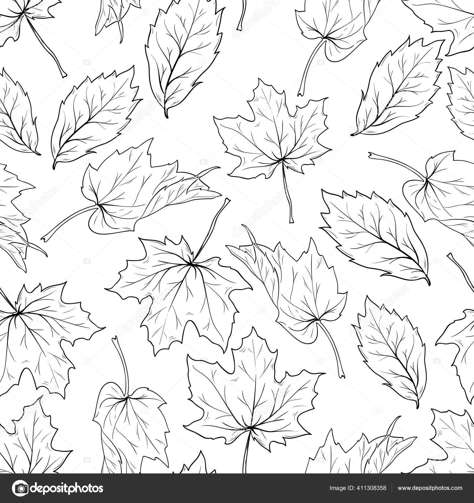 Seamless Autumn Pattern Line Art Leaves Stock Vector by ©Hmarka 411308358