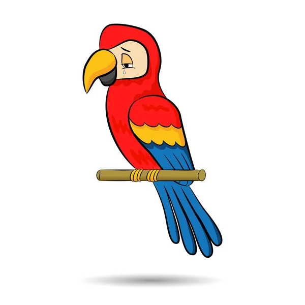 Set Cute Cartoon Three Colored Parrot Branch Vector Illustration Stock ...