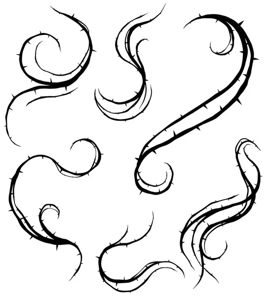 Thorny Bushes Drawing