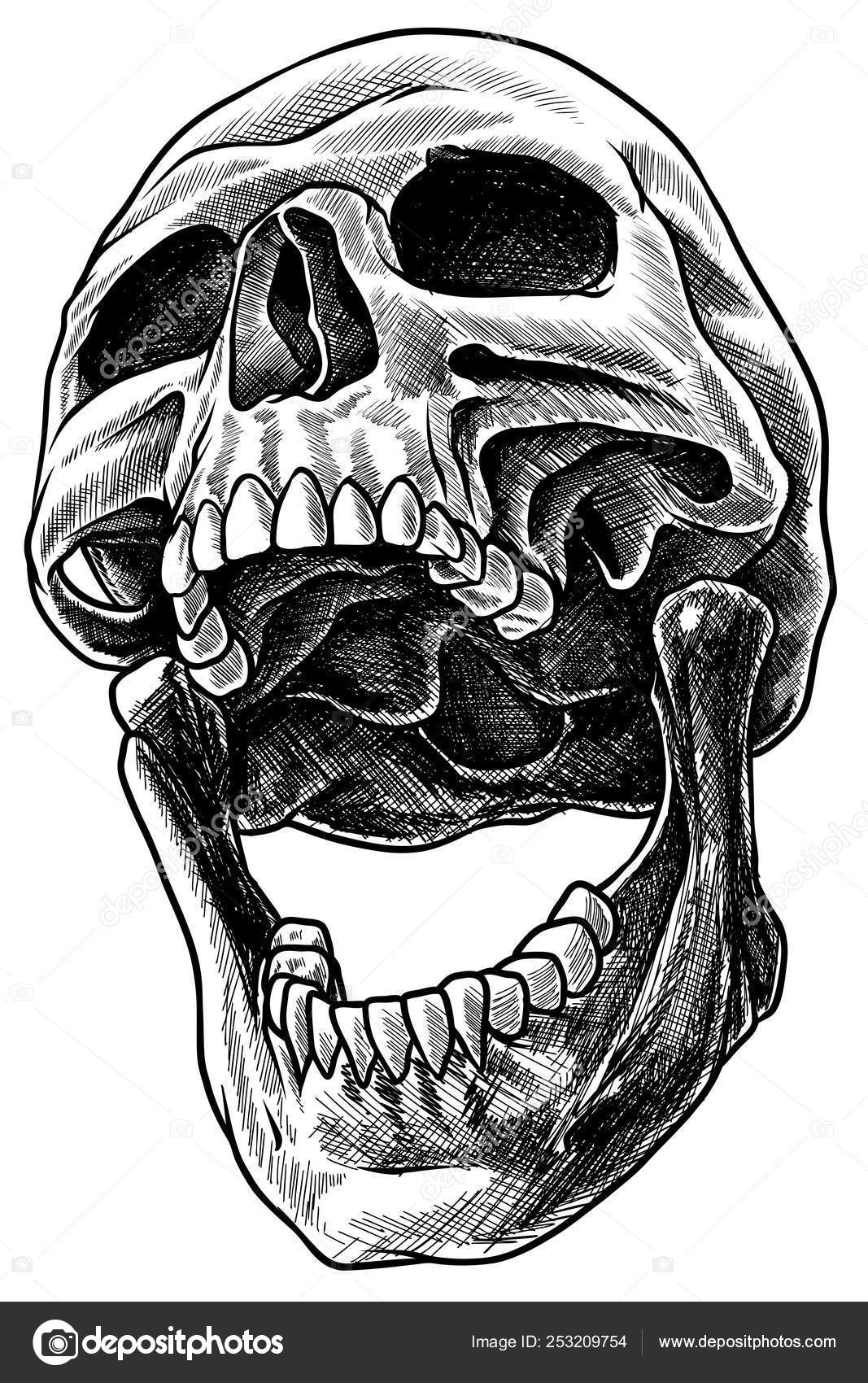 Skull Open Mouth Drawing