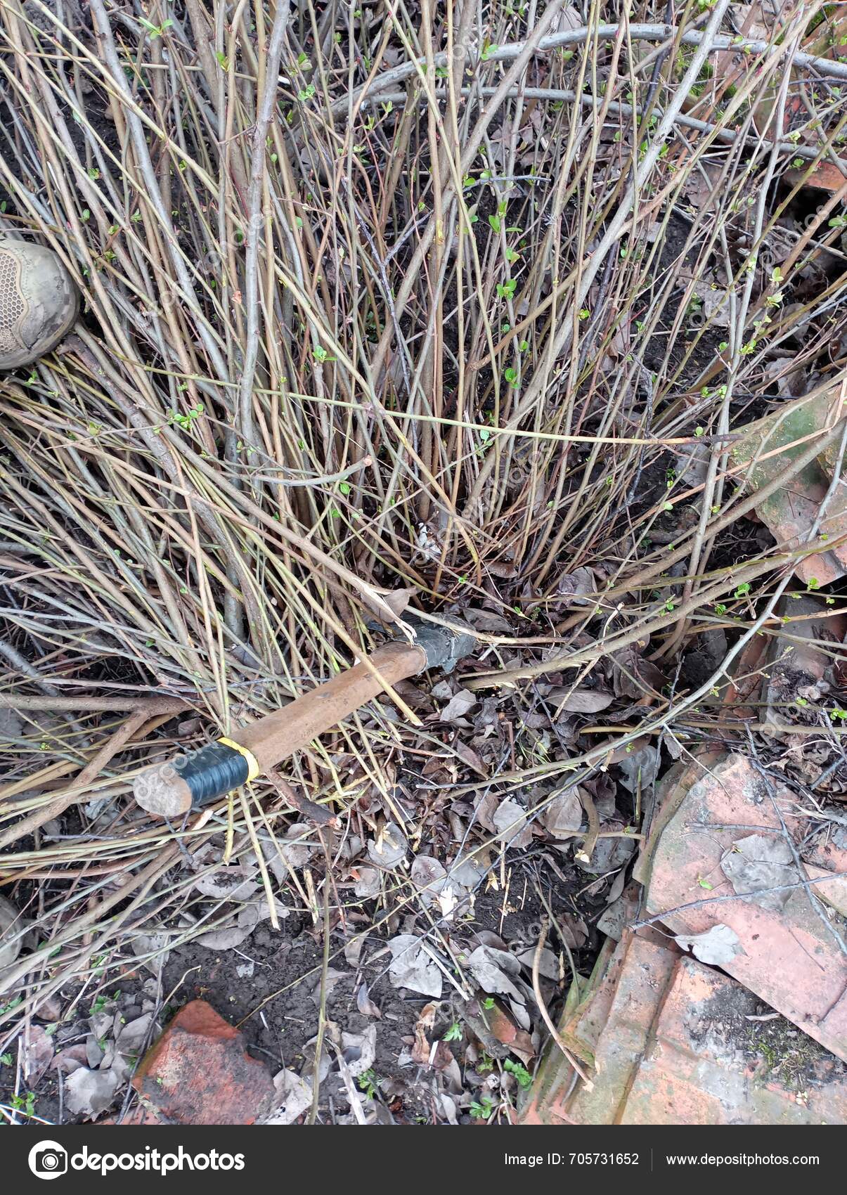 Cleaning Garden Cutting Bush Axe Thinning Garden Hand Tool — Stock ...