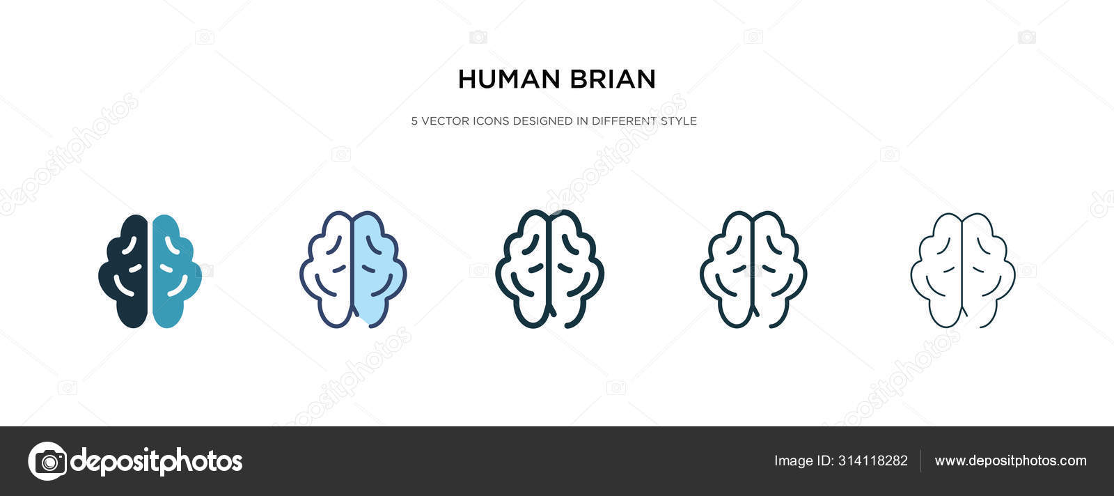 Human brian icon in different style vector illustration. two col Stock ...