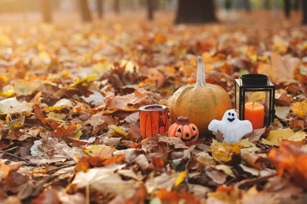 Fall theme Stock Photos, Royalty Free Fall theme Images | Depositphotos