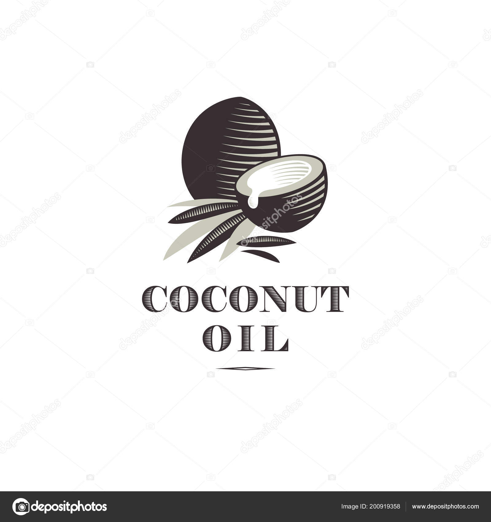 Coconut Oil Logo Ripe Coco Half Coconut Leaves Letters Engraving Stock ...