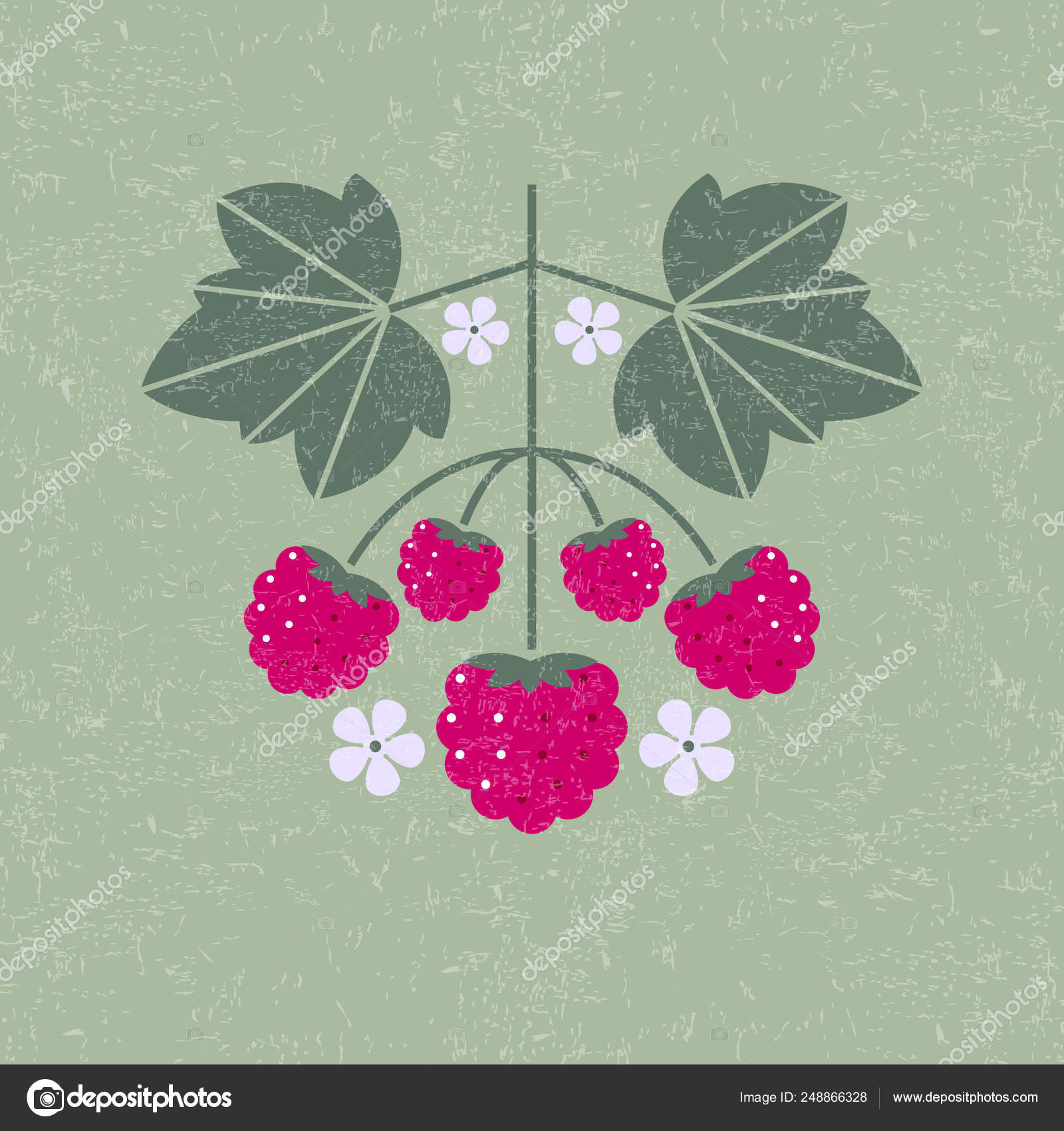 Raspberries Illustration Raspberry Leaves Flowers Shabby Background ...