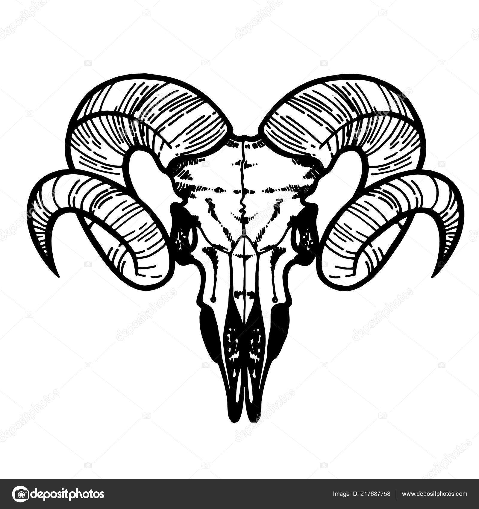 Ram Horns Art