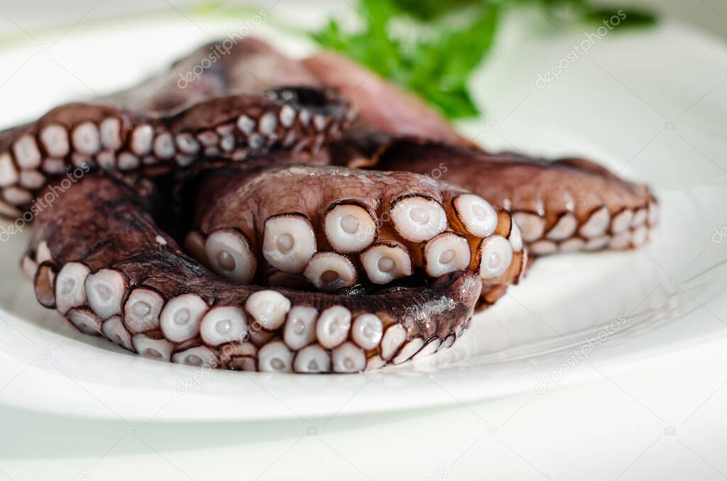 Primer plano de los tentáculos de pulpo crudo sobre fondo blanco ...