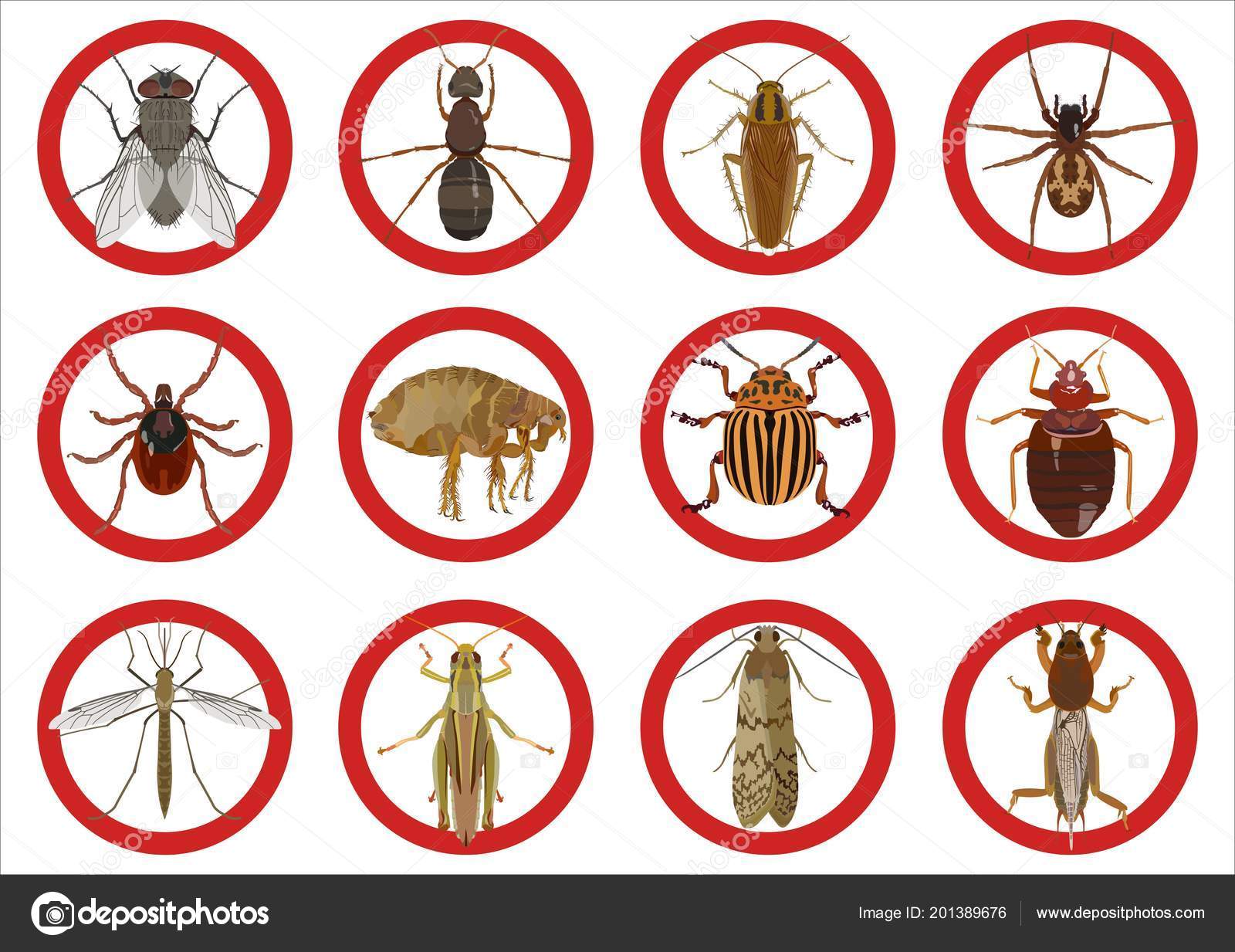Collection of warning signs about harmful insects. Vector illustration ...